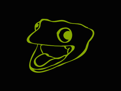 Team Gecko — Team Gecko